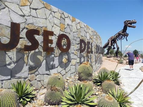 Sears Celebra Su Reapertura En Acapulco Con Increíbles Descuentos