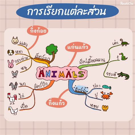 เทคนิคฝึกให้ลูกคิดและจำอย่างเป็นระบบด้วยด้วย Mind Map