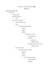 Milestone Pseudocode And Flowchart Docx Milestone Pseudocode And Flowchart Pet Check