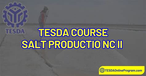 Tesda Salt Production Level Ii Course Tesda Online Program
