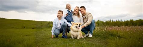 Complement Deficiencies Symptoms Risk Factors And Treatments The