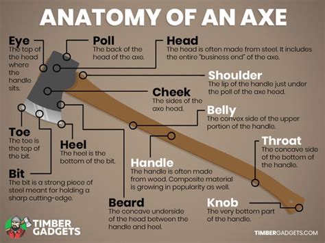 The Parts Of An Axe Timber Gadgets