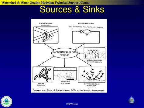Ppt Dissolved Oxygen Processes Powerpoint Presentation Free Download