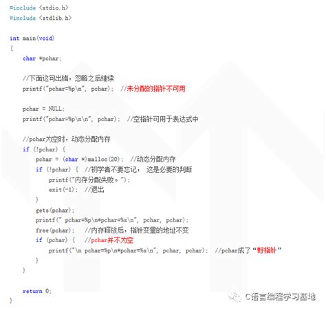 c语言中point的用法 c c 编程笔记：c语言编程知识要点总结！大一c语言知识点（全） csdn博客
