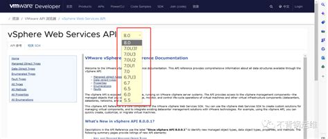 分享：vmware vsphere api玩法 阿里云开发者社区