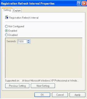 Domain Network Systems DNS Information Enable Or Disable Registration Refresh Interval Group