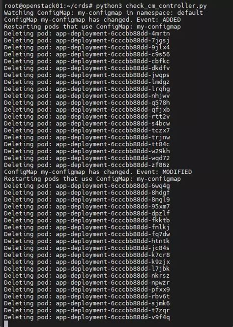 Kubernetes Custom Resources