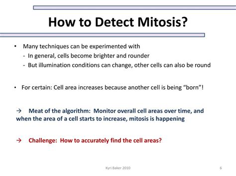 ppt detection of cell mitosis for population growth analysis