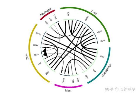 italk 单细胞受配体互作分析及可视化（详细版教程） 知乎