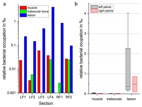 Visualization Of Bacterial Count In The Different Tissue Slices From Download Scientific