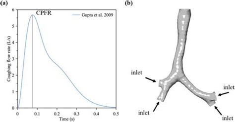 Coupled Eulerian Wall Film Discrete Phase Model For Predicting