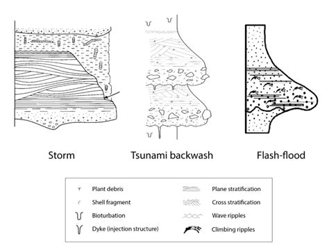 15 Comparison Of Idealized Sedimentary Depositional Sequences Between Download Scientific