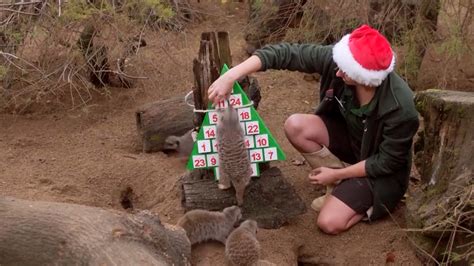 ლონდონი გაერთიანებული სამეფო