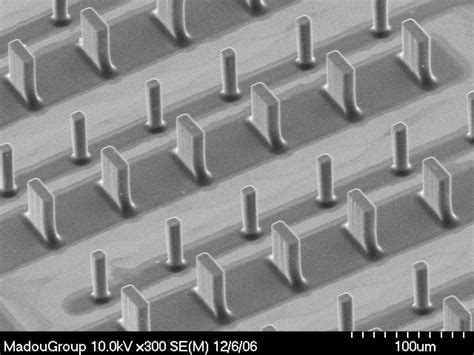 sem images whole array and close up of the asymmetric interdigitated