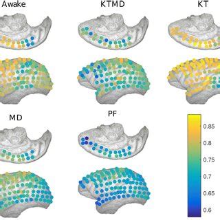 Permutation Entropy Analysis For Each Of The Channels Belonging To Download Scientific