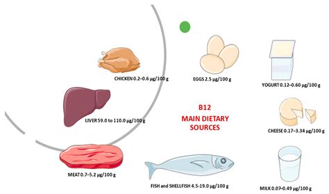 Vitamin B12 Deficiency Anemia