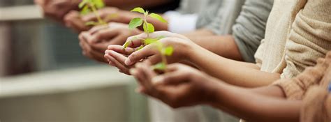 About Multi Wing Global Leader In Axial Fan Engineering And Airflow Innovation