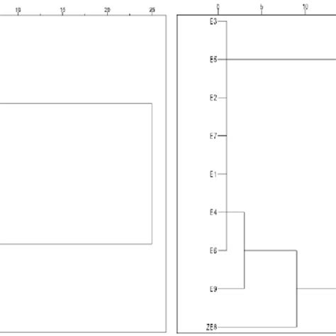 dendrogram sample classification all samples left supposed euphorbia