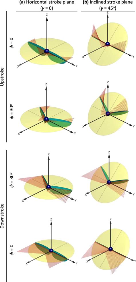Velocity Distribution Along The Span During Flapping Forward Flight Download Scientific Diagram