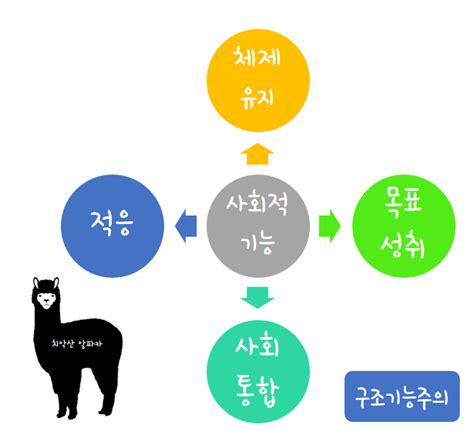 사회복지학 경영학 등 사회학 개론 필수 요점 정리 10 구조기능주의