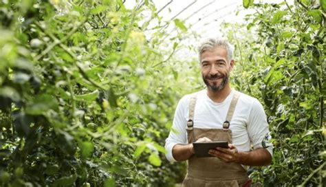 Saps Journey To Net Zero 2030 Sap News Center