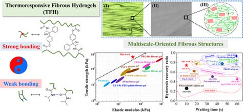 Robust Multiscale Oriented Thermoresponsive Fibrous Hydrogels With