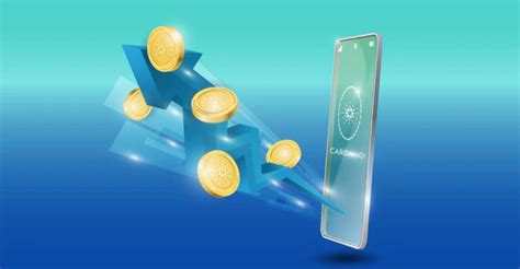 a brief guide to cardano node