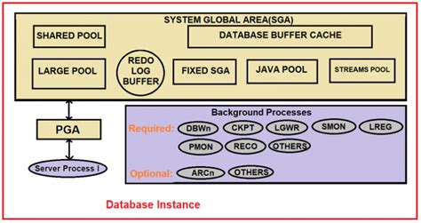 Oracle Database Instance Architecture Dot Net Tutorials