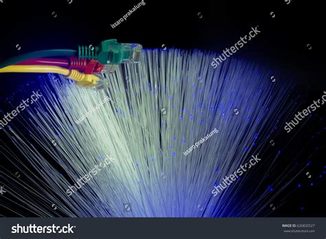 Fiber Optic Lan Wire Stock Photo Shutterstock