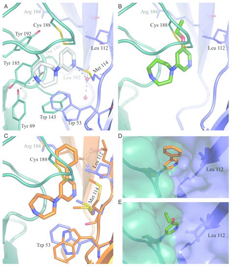 Detailed Binding Modes For Compounds 13 A Shown Is The Binding Mode Download Scientific