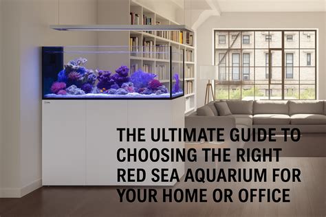 How To Set Up A Marine Aquarium A Step By Step Guide Charterhouse