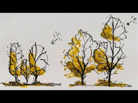 How To Draw Trees Architectural Trees Narration Illustration Architecture YouTube Tree
