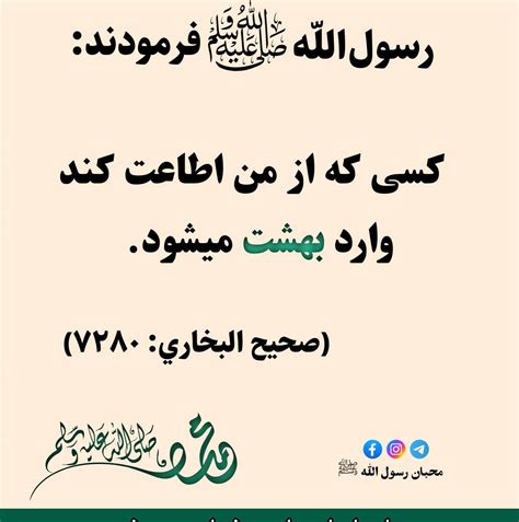 صفحه مارا فالو کنید ️‍🩹😊 ،بهترین عکس دنیا تاریخچه عکاسی ⭐️⭐️⭐️⭐️⭐️⭐️⭐️⭐️⭐️⭐️⭐️⭐️⭐️ با کشف دو