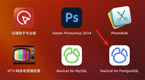 navicat for postgresql v16 3 4 for mac postgresql 数据库管理和开发迈克库软件