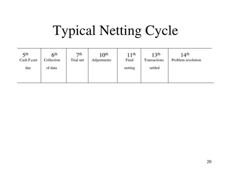 Ppt Netting Powerpoint Presentation Free Download Id3607571