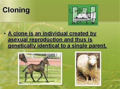 Biology I Chapter 13 Gene Technology Do Now