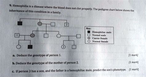 Solved Hemophilia Is A Disease Where The Blood Does Not Clot Properly