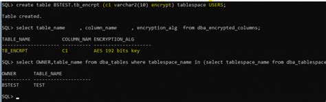 Setup Tde Encryption In Oracle 19c Database Dba Notes