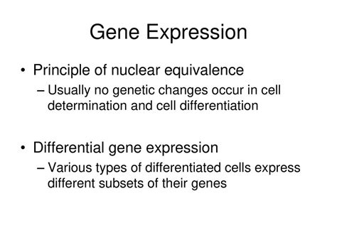 Genetic Equivalence And Differential Gene Expression In Development At