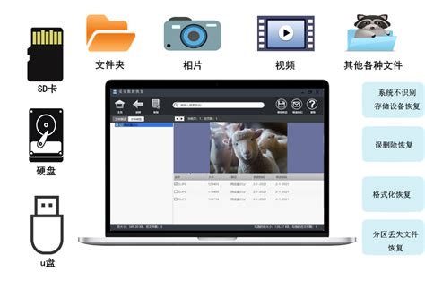 电脑中了木马病毒并查杀后原来的文件还能恢复吗，6种常见方法（视频教程）