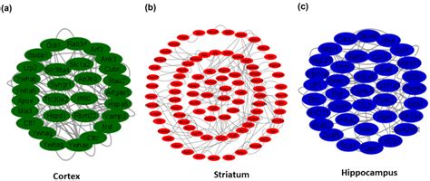 Clustering Analysis “nitrogen Compounds Metabolic Process” Was