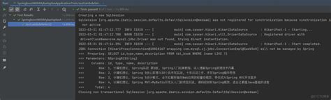 Mybatis Spring Boot Starter 下载 Jar Spring Boot Mybatis Plus