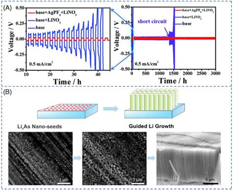 A Cycling Performance Of Li‐li Symmetric Cells At 05 Ma Cm2