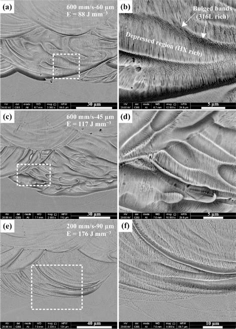 Sem Micrographs Of The First Layer Of Hx Fabricated With Different