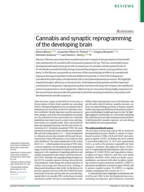 Cannabis And Synaptic Reprogramming Of The Developing Brain Pdf