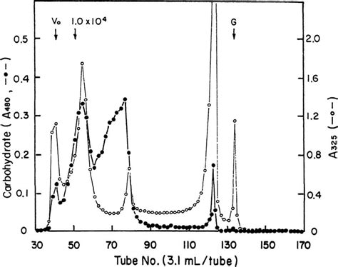 Chromatographic Profile Of Fraction I 2 I Resolved Using A Bio Gel P 10 Download Scientific