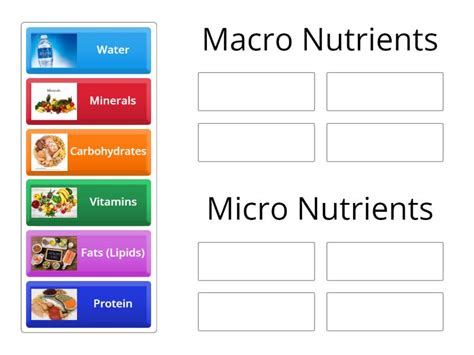 Macro Vs Micro Nutrients Group Sort