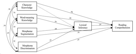 Model 1 Hypothesizing The Joint Contribution Of Morphological Download Scientific Diagram