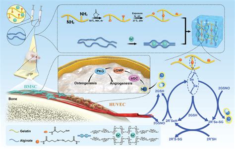 Schematic Diagram A Synthesis And Preparation Of Interpenetrating Download Scientific Diagram