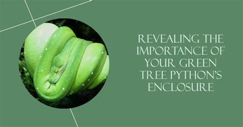 Green Tree Python Enclosure